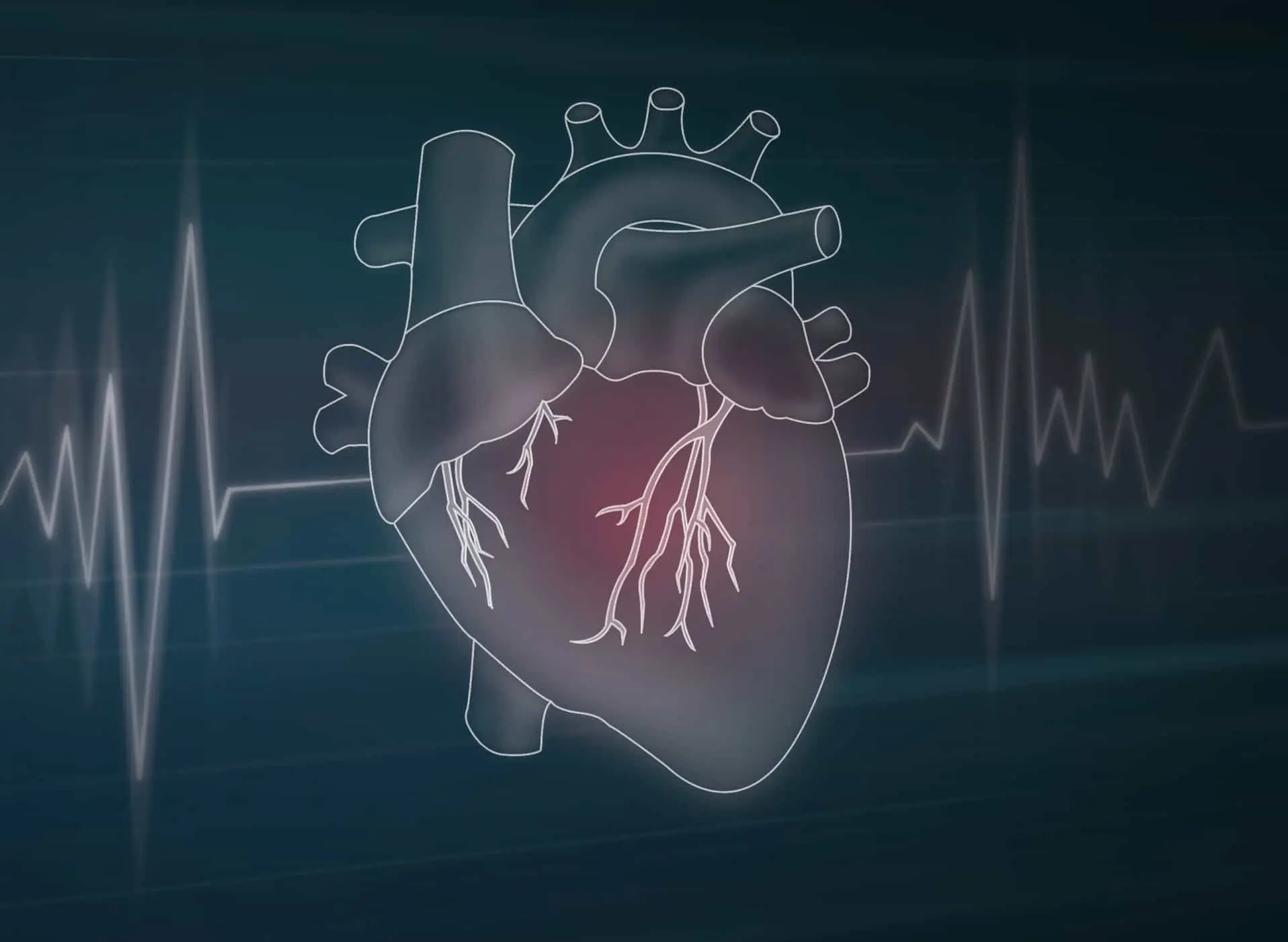 Cardiac Imaging - Key Methods and Their Role in Heart Disease Diagnosis ...