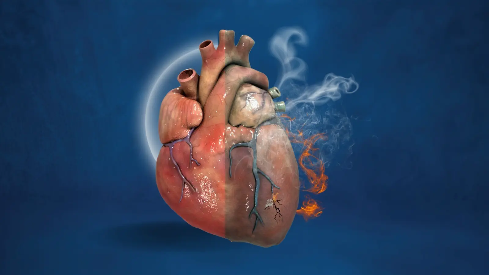 Smoking Affects Heart and Blood Vessels - Uncovering the Hidden Damage ...